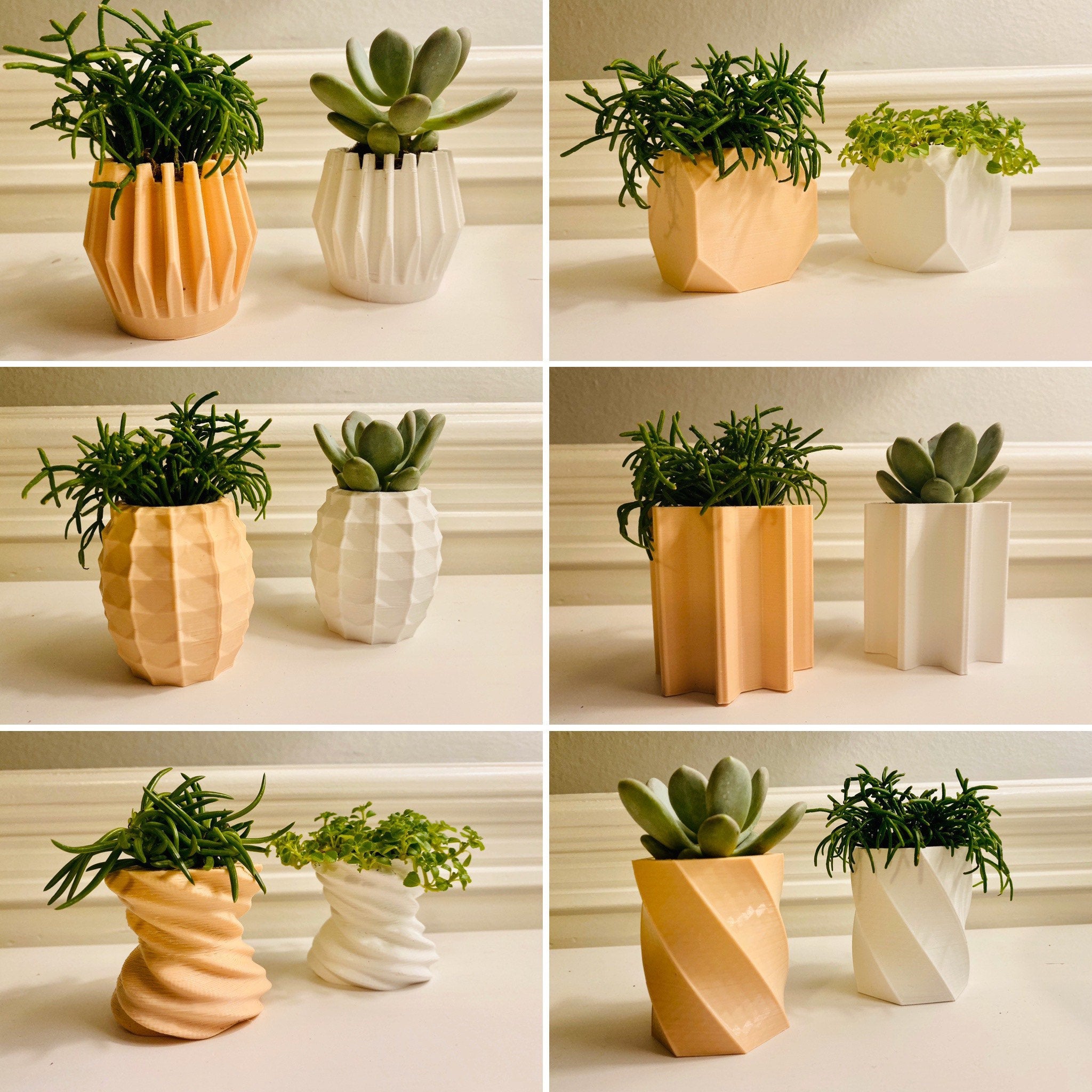 Alien Egg Air Plant Holder. Succulent Planter. Indoor Garden Planters ...