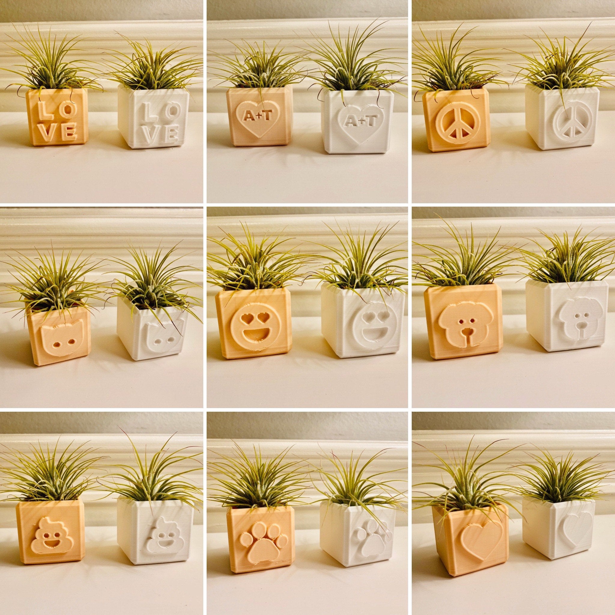 Alien Egg Air Plant Holder. Succulent Planter. Indoor Garden Planters ...