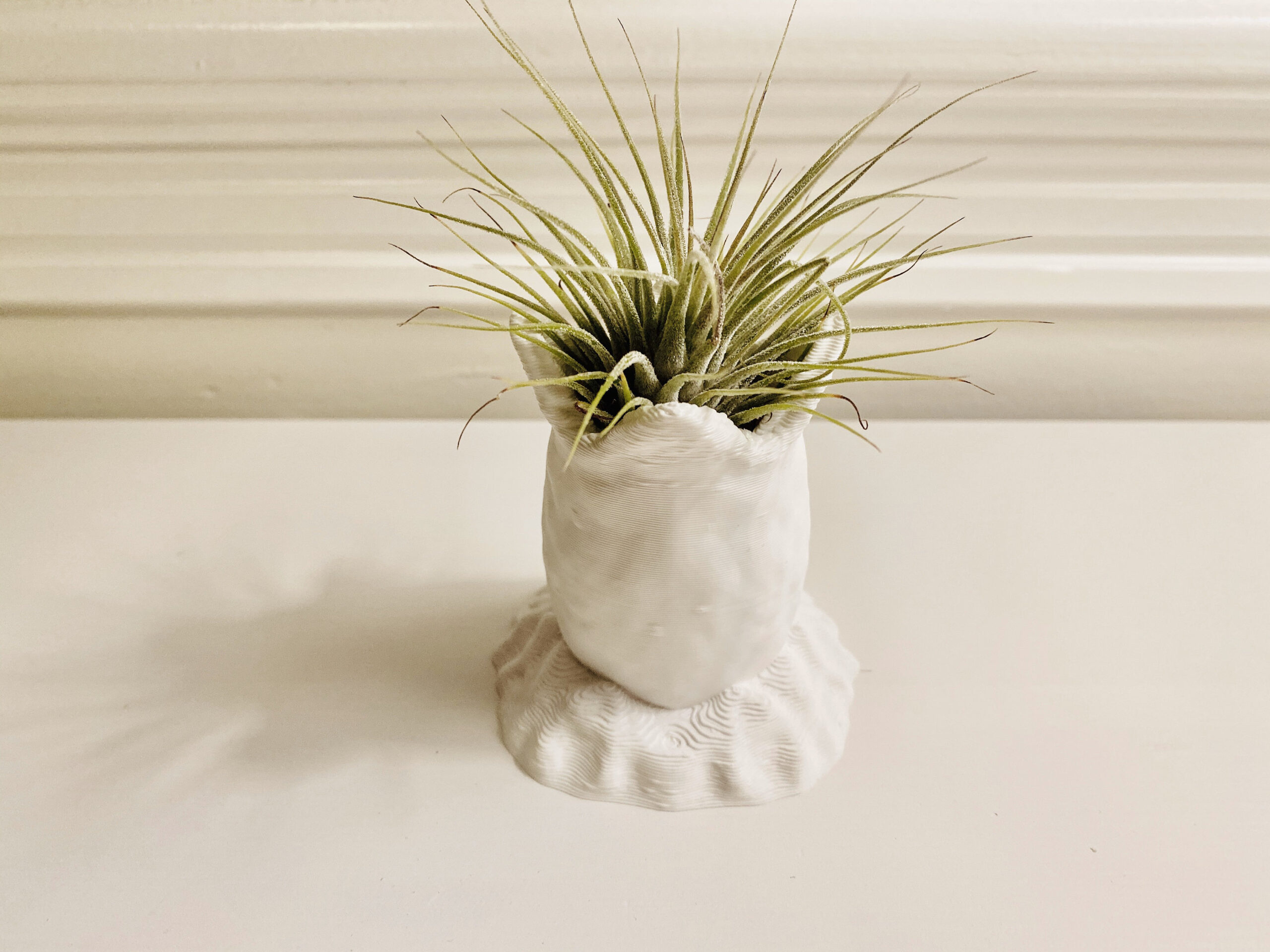 Alien Egg Air Plant Holder. Succulent Planter. Indoor Garden Planters ...