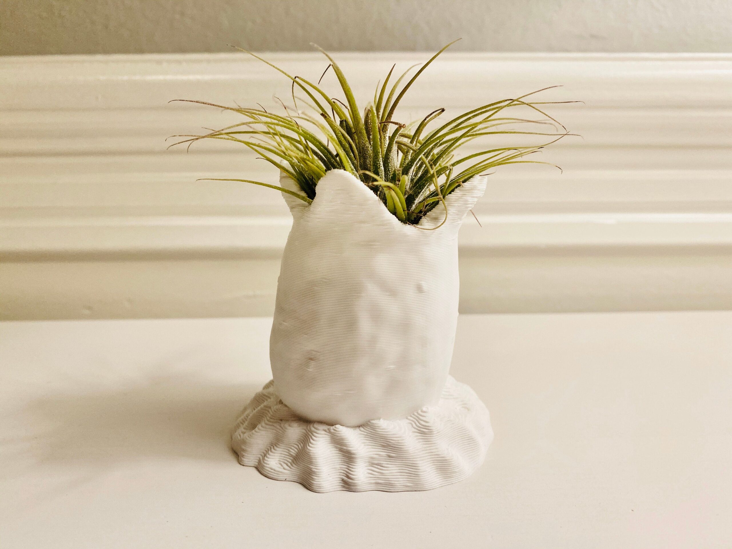 Alien Egg Air Plant Holder. Succulent Planter. Indoor Garden Planters ...