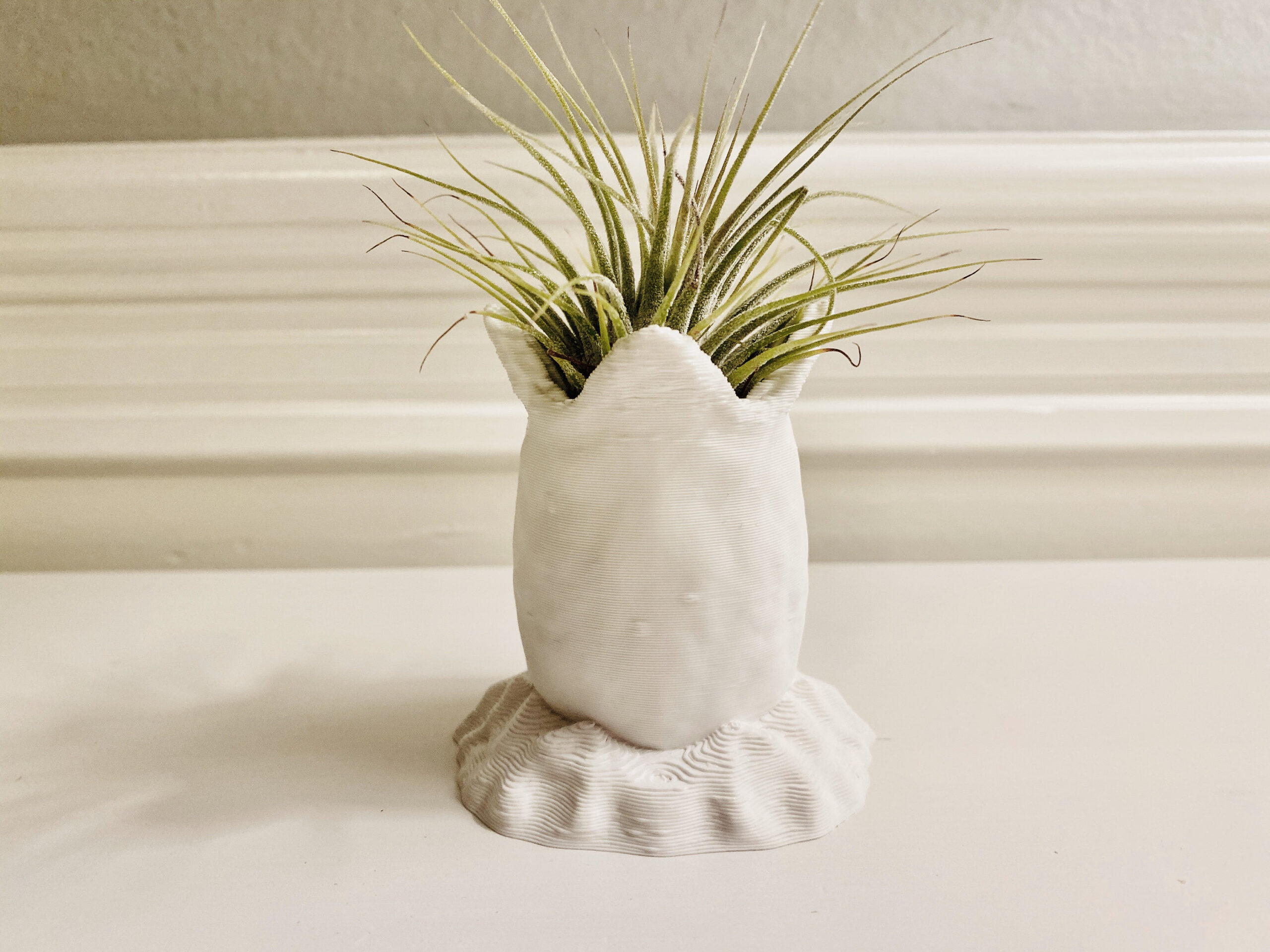 Alien Egg Air Plant Holder. Succulent Planter. Indoor Garden Planters ...